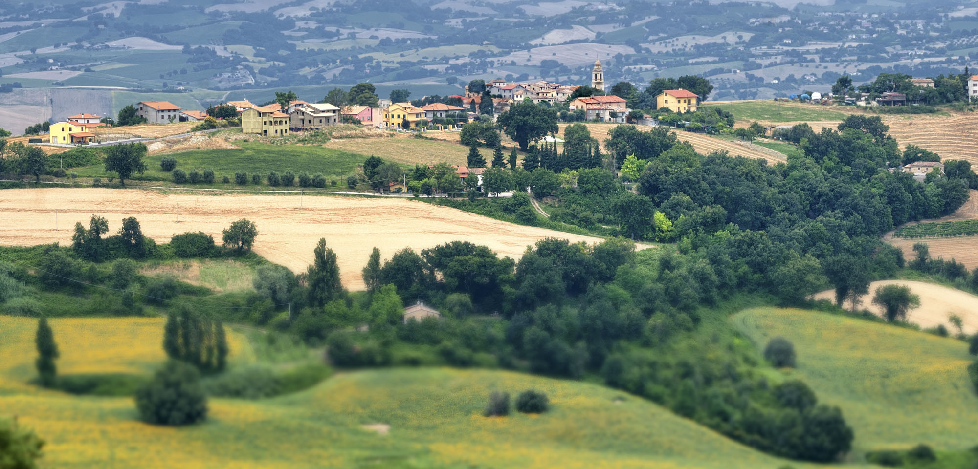 Valmetauro - Trevalli Cooperlat